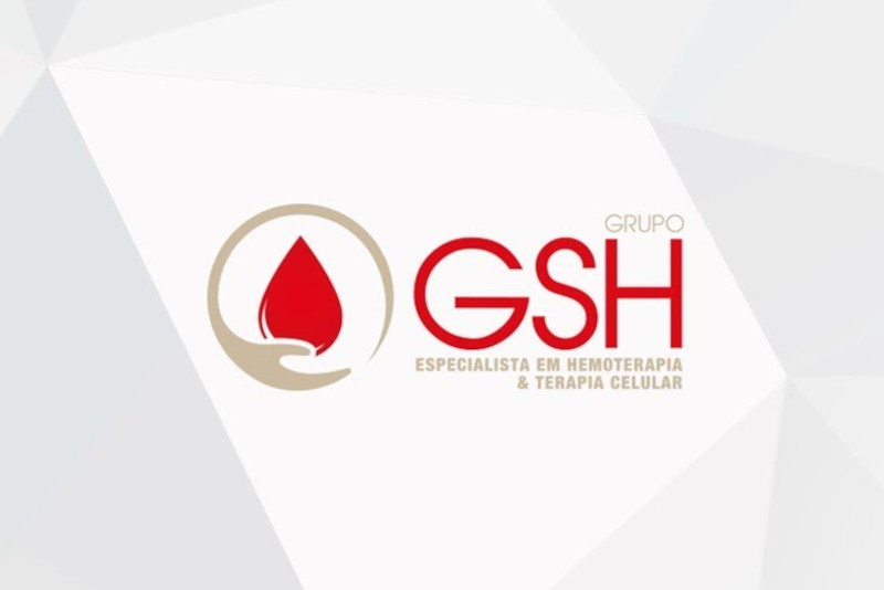Analista Contábil Pleno - Grupo GSH - Flamengo - RIO EMPREGOS: RIO ...
