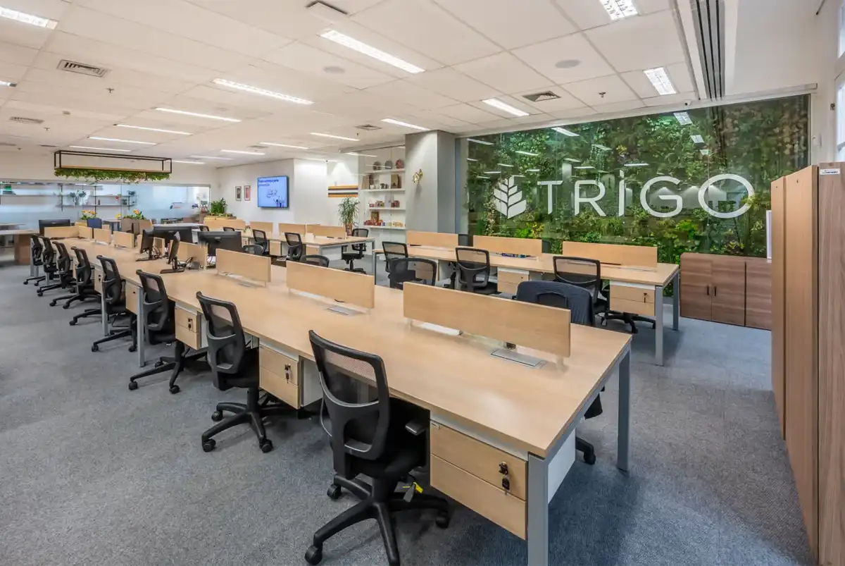 Grupo Trigo Abre Vagas Para Assistente De Dados, Estágio De Produção ...