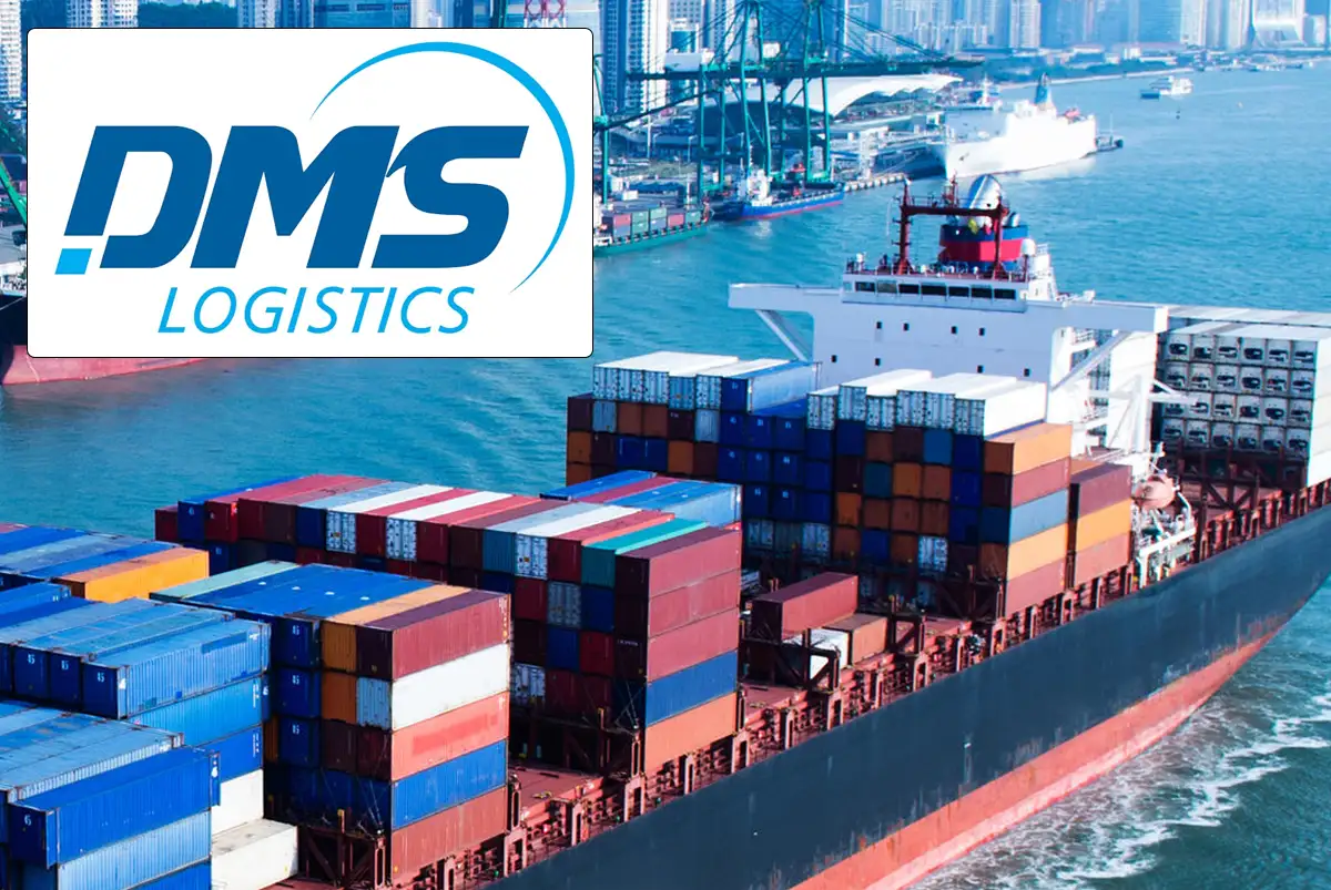 DMS Logistics Divulga Vagas Para Assistente De Importação, Vendedor(a ...